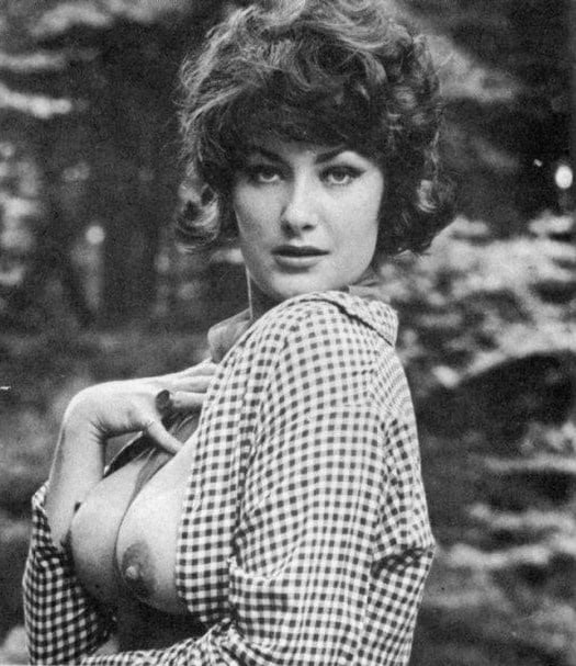 Ann Austin Vintage And Retro Porn Pictures Xxx Photos Sex Images 3692145 Pictoa